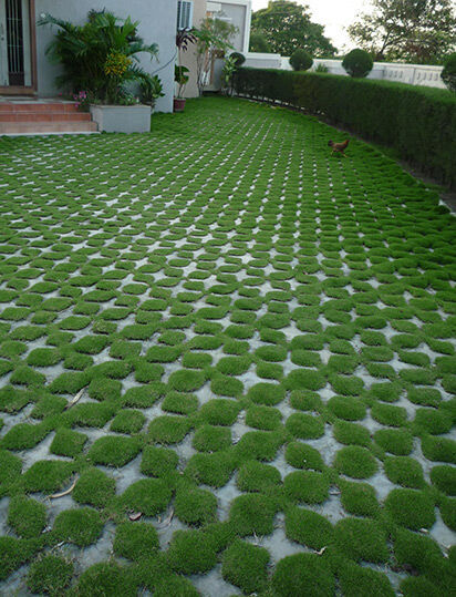 Turf Paving – Ecological Grass Pavers for Sustainable Landscaping | VYARA